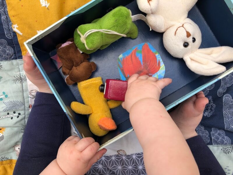 The Song Box - the importance of music and rhyme for development in the ...